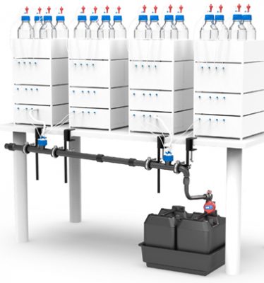 Cap and Waste Management System: SCAT - ACI Sciences